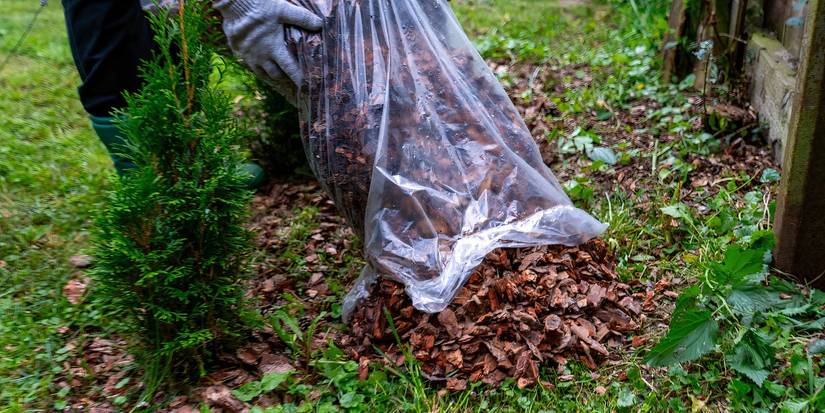 Stinknet Invasion: Dangers, Wildfire Risks, and Removal Strategies