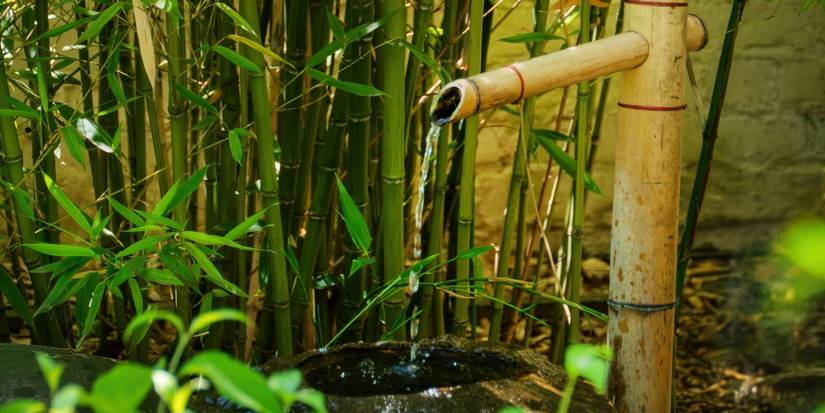 DIY Water Fountain Ideas: 5 Easy Ways to Add Beauty Outdoors