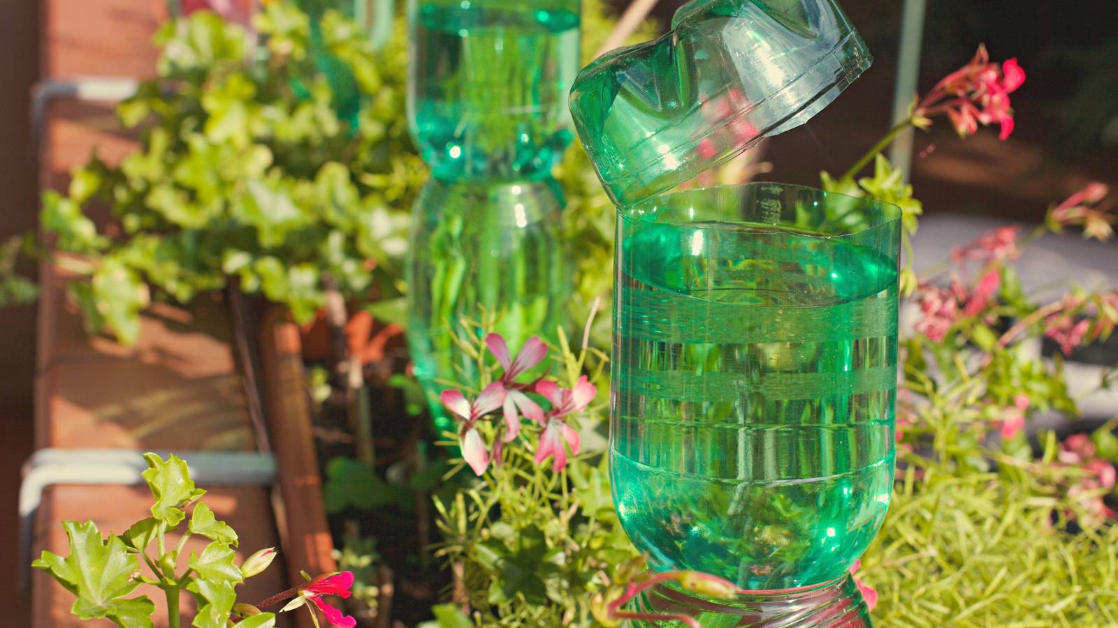 Transform Your Garden with These DIY Self Watering Plant System Ideas