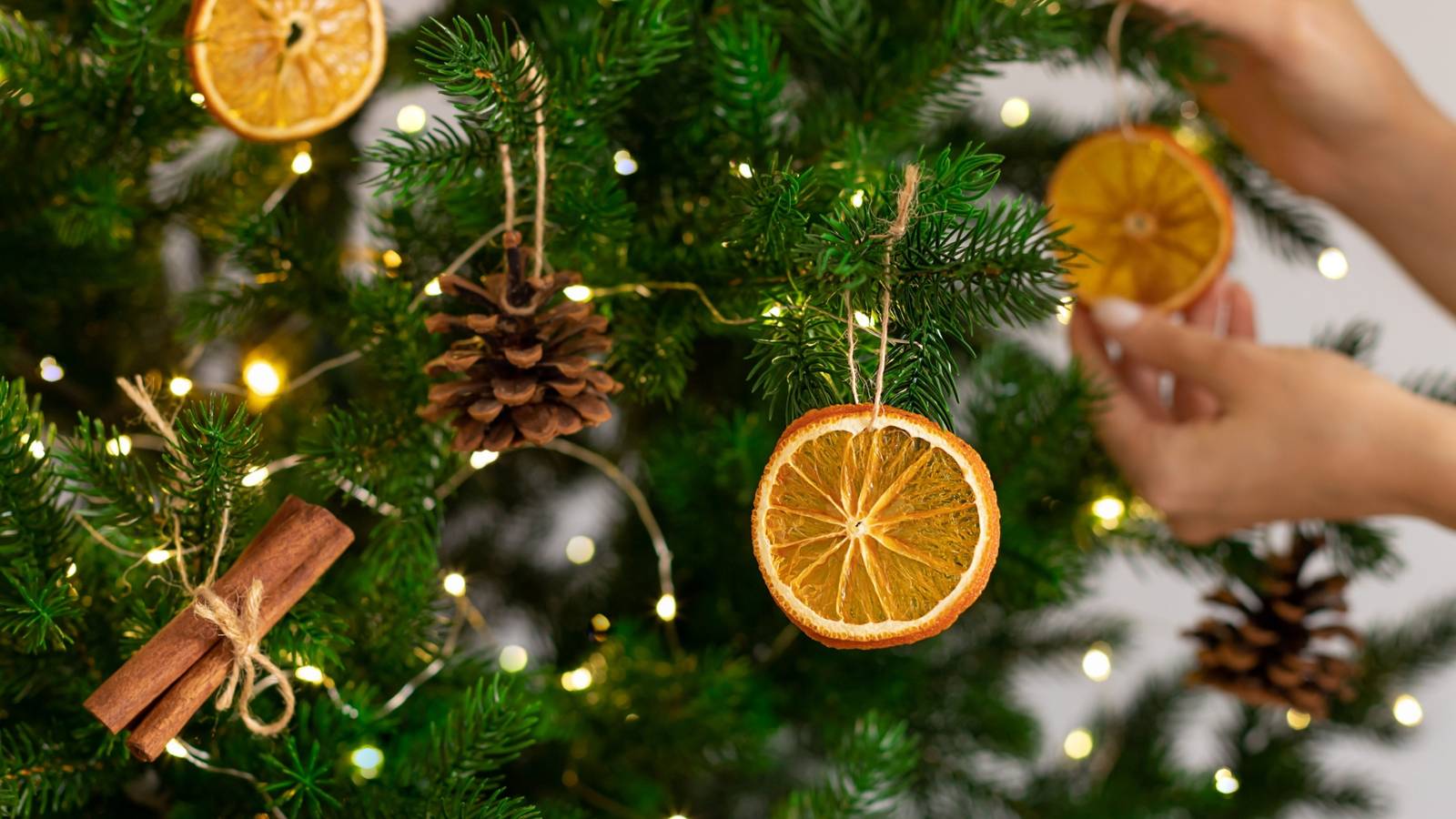 5 Dried Fruits to Add to Your Holiday Decor