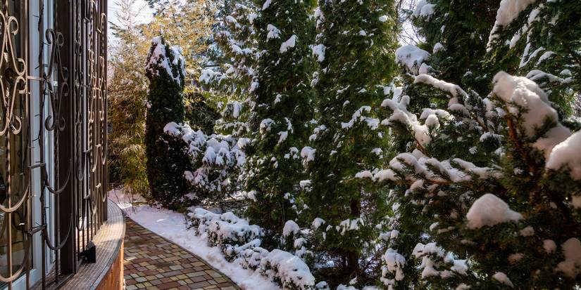 Enchanting Landscaping Tips For a Winter Wonderland