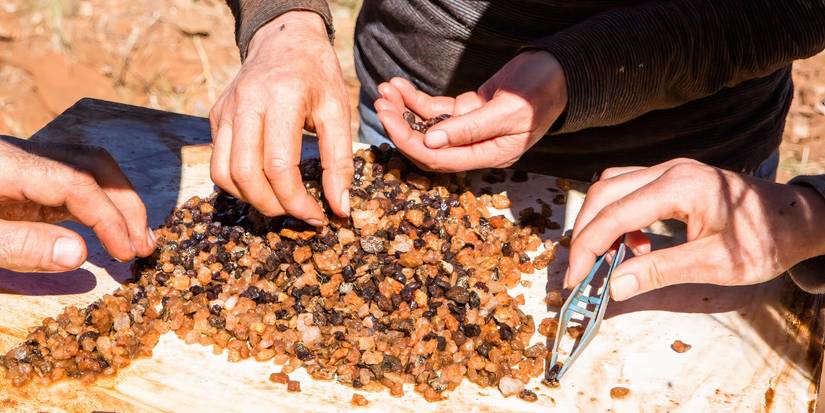 Mine for Gems in Your Backyard to Find the Most Valuable Gemstones