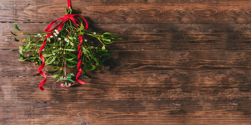 Mistletoe: A Festive Tradition with a Toxic Twist
