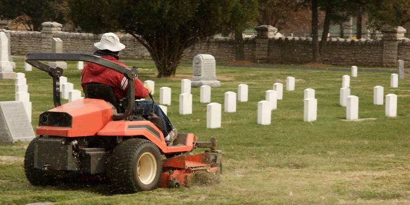 Rewilding Graveyards To Turn Them Into a Natural Landscape