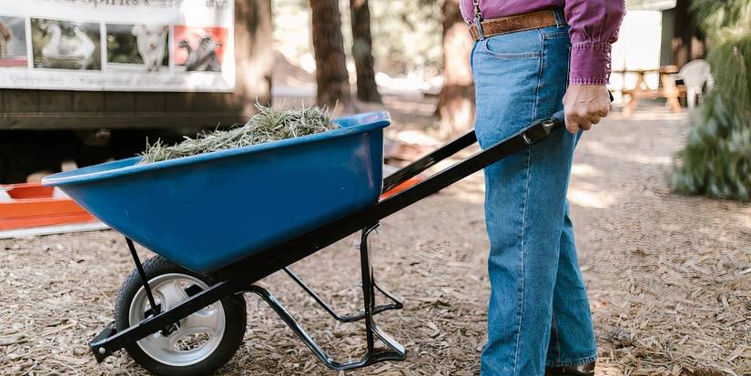 Ultimate Backyard Safety: Garden with Confidence