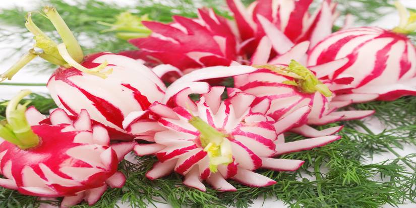 Embracing Radish Carving as a Christmas Tradition