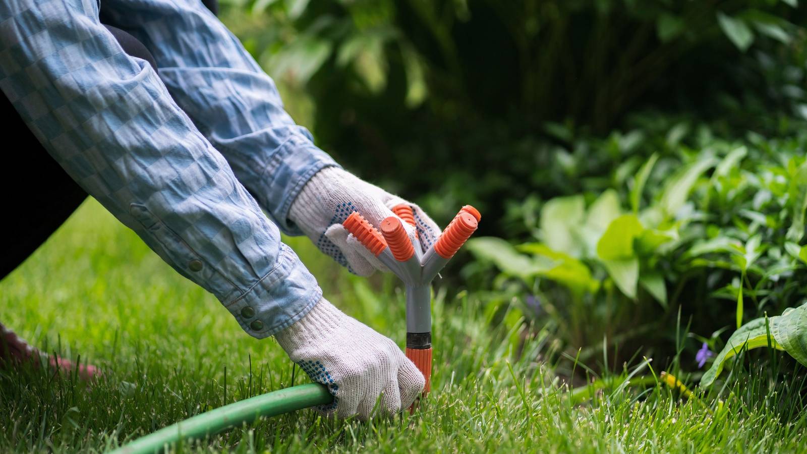 June Lawn Care Tips for Saving Water