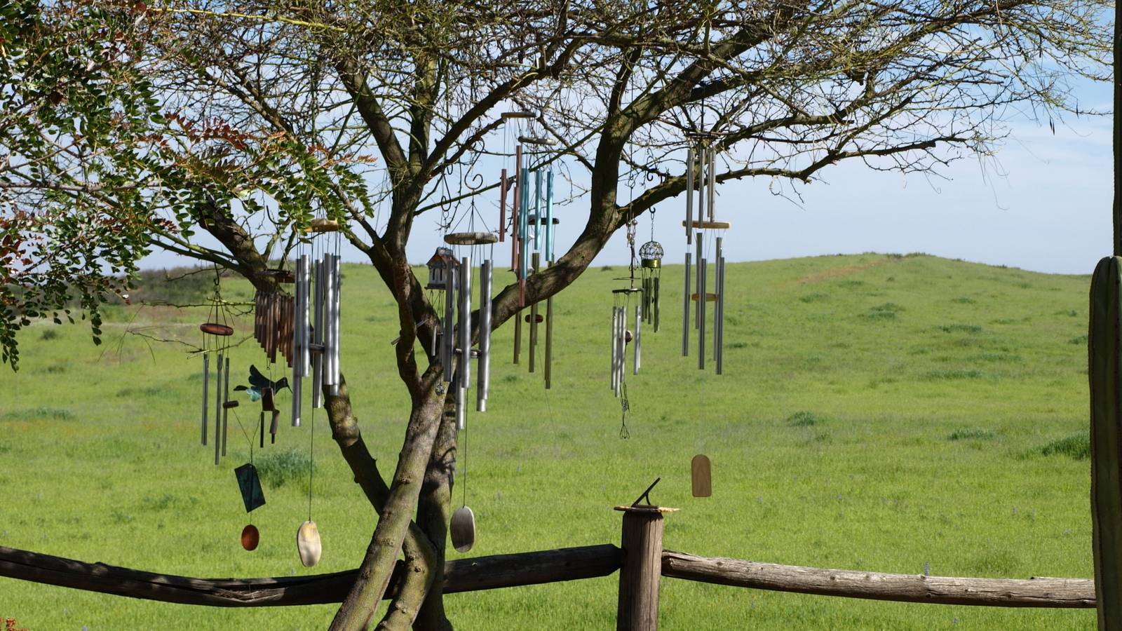 Five Creative DIY Wind Chimes You Can Craft Today