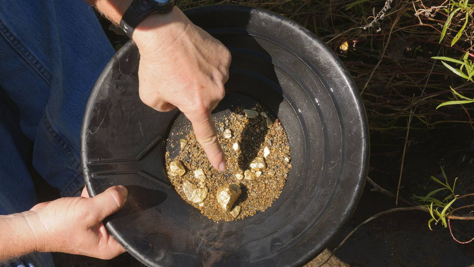 Find Precious Metal by Treasure Hunting in the Backyard