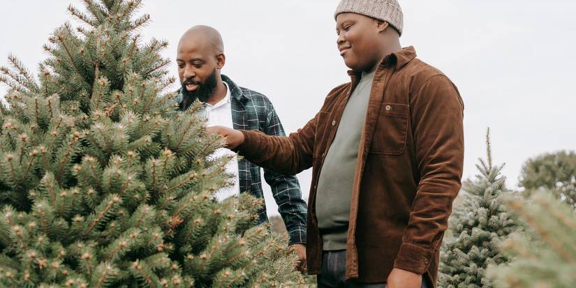 What is the Best Smelling Christmas Tree of Them All?