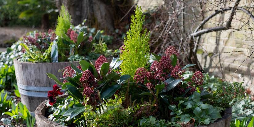5 Landscaping Ideas To Create a Stunning Winter Garden