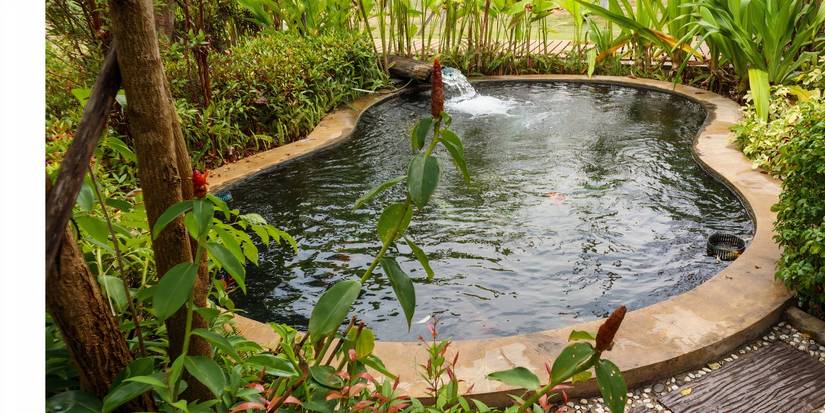 6 Smart Ideas for Using Shade in Your Landscape