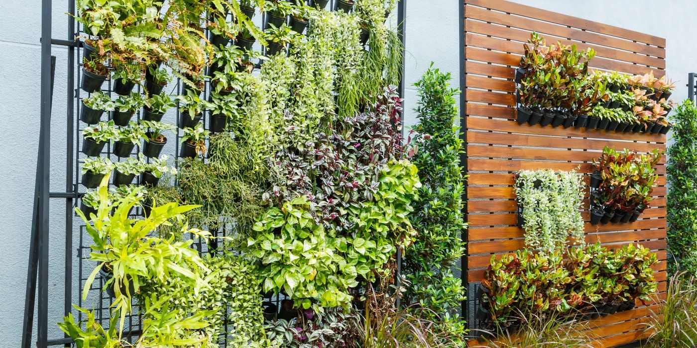 7 Inspiring Gardening Trends to Kick Off the Year