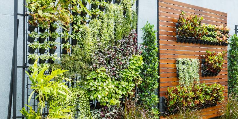 7 Inspiring Gardening Trends to Kick Off the Year