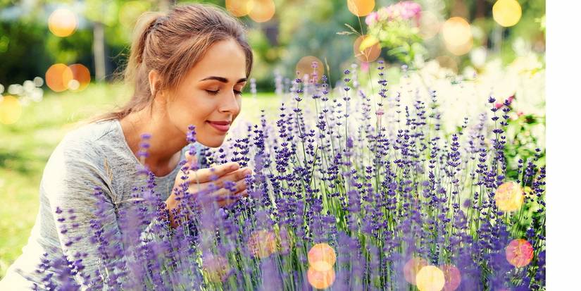 Mastering Scent Stacking: Create a Fragrant Garden Oasis