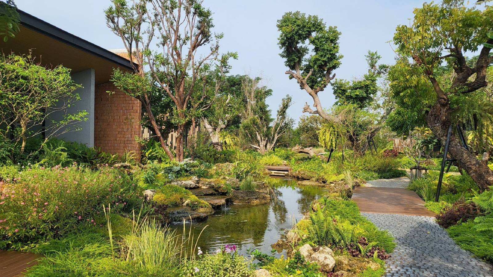 Transform Your Backyard Into a DIY Botanical Garden