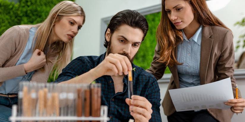 Plant Breeding: What is it and How Does it Benefit You?