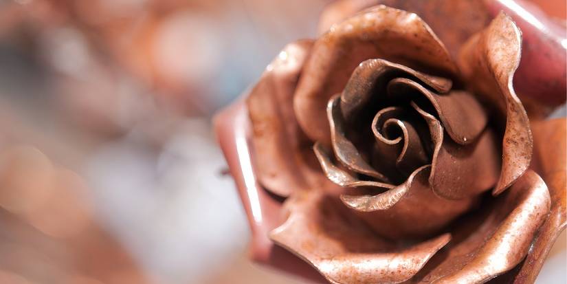 Dipped Roses: A Lasting Gift for Valentine's Day and Beyond