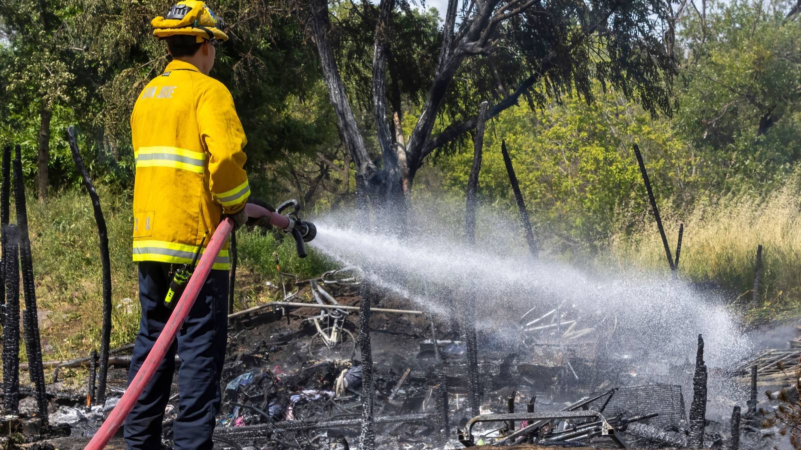 Understanding Wildfires: Natural and Human Causes Explained