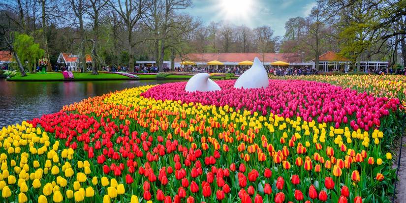 Keukenhof: The World’s Most Iconic Tulip Garden Opens For Spring
