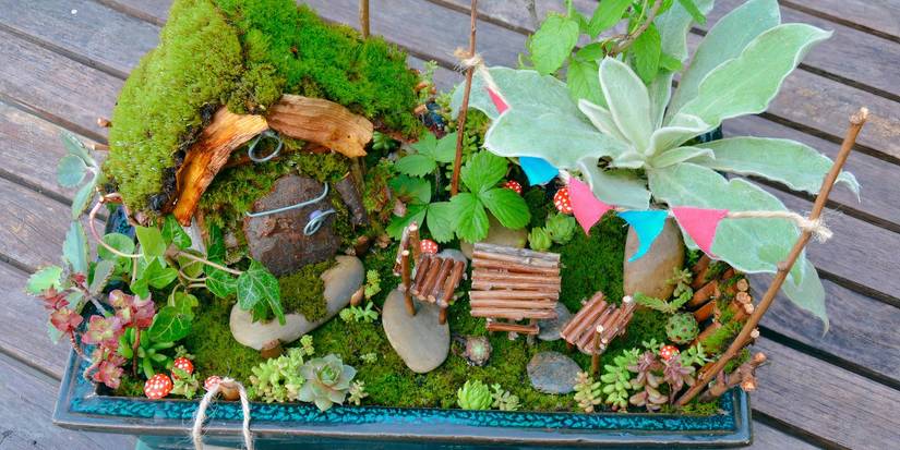 Whimsical Mini Garden Ideas for Small Spaces