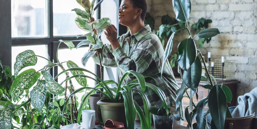 How to Use Plants for Stress Relief and Meditation