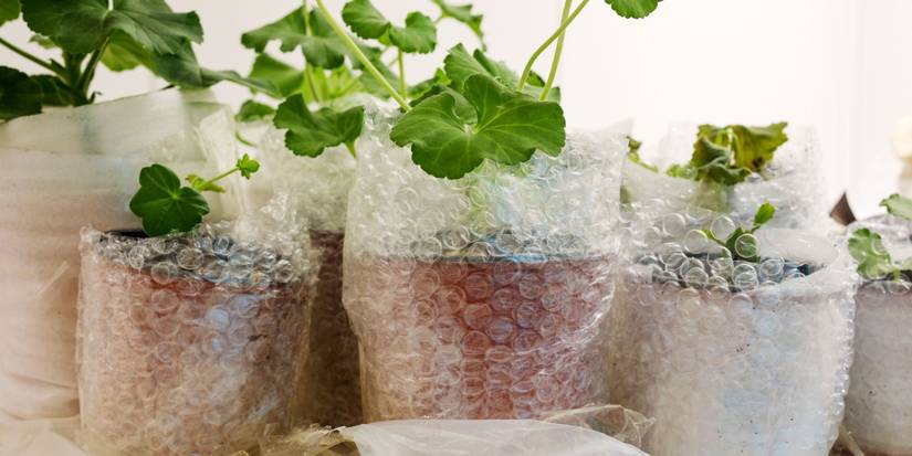 How to Winterize Your Pots and Planters