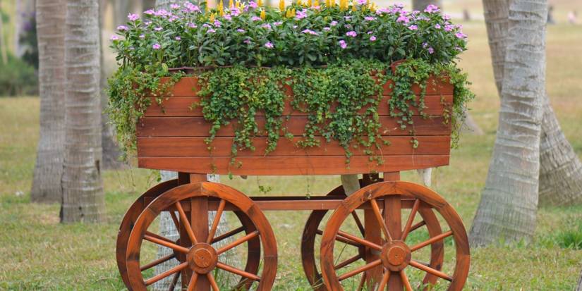 No Backyard? Create a Thriving Container Vegetable Garden Anywhere!