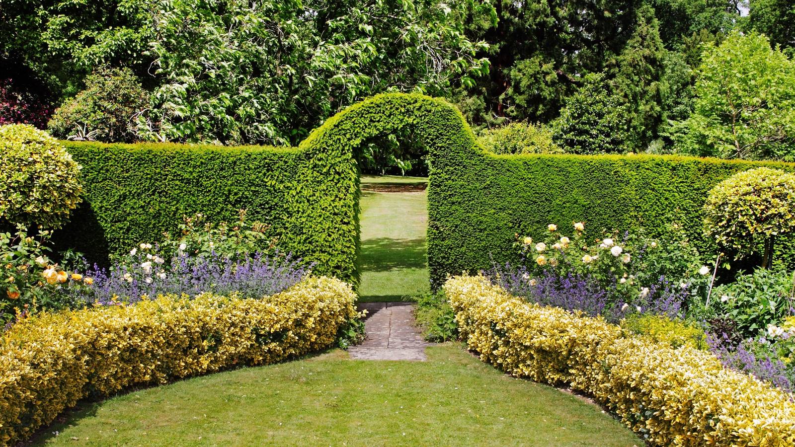 Top Bushes For a Show-Stopping Hedgerow