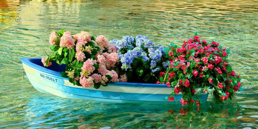 Transform Your Backyard with These 5 DIY Floating Gardens