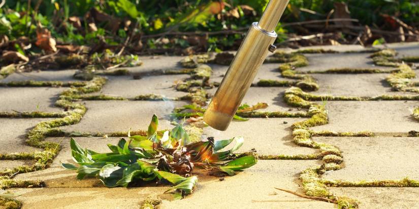 Flame Weed Control: Tips, Benefits, and Safety Precautions