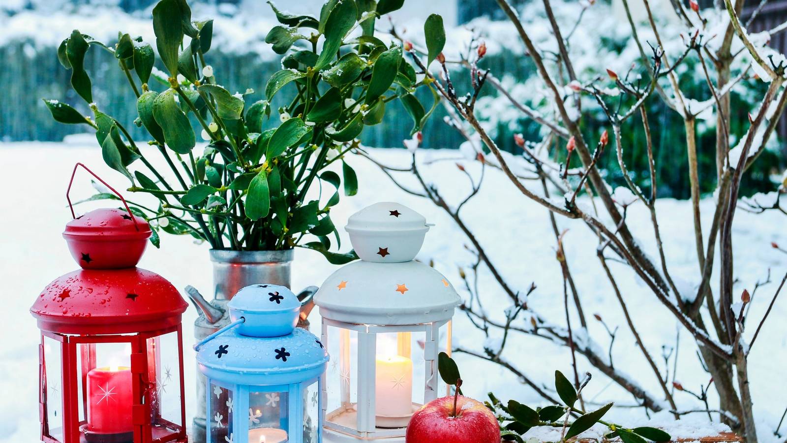 Enhance Your Winter Garden With 5 Pretty Things
