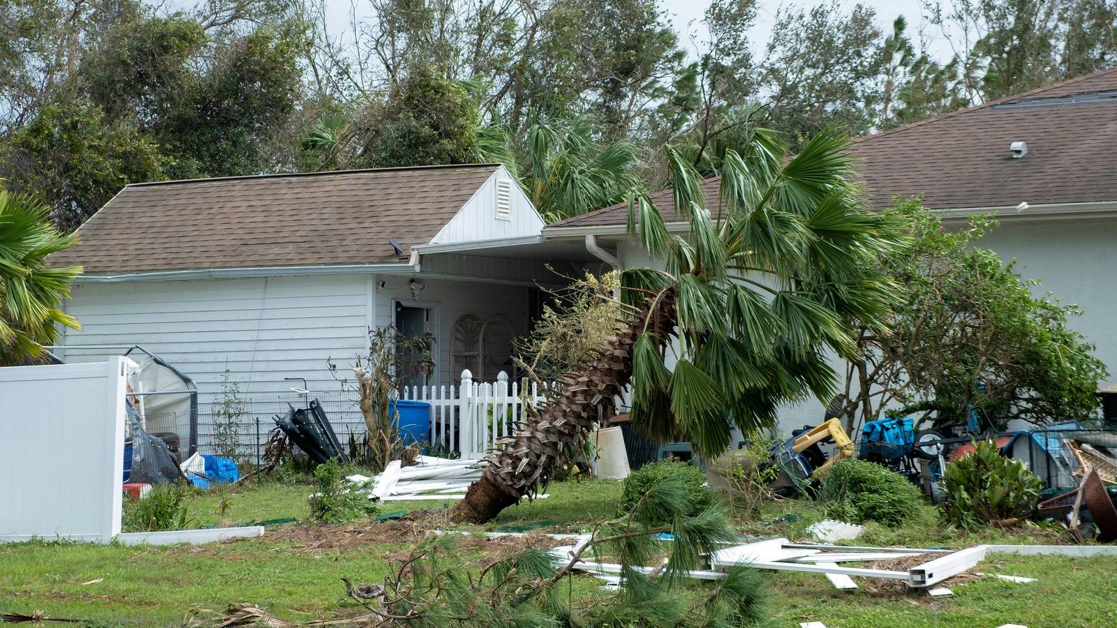 Winter Storm Cleanup: How to Restore Your Yard Fast
