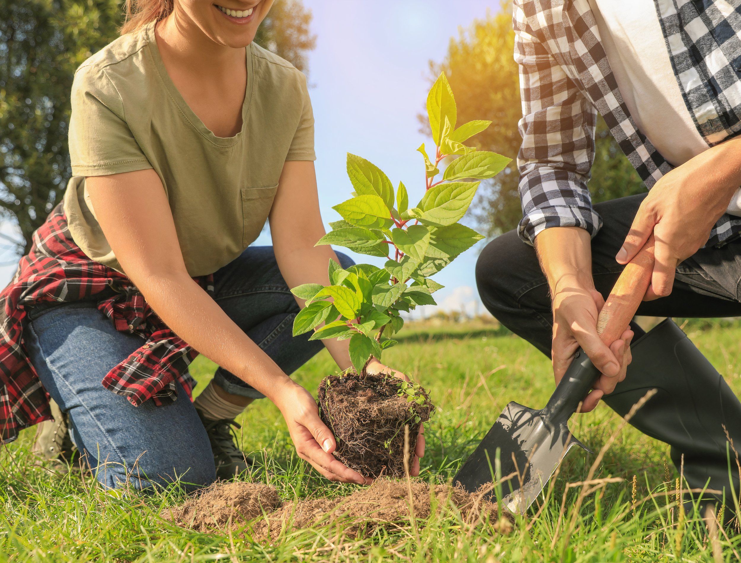 A Tree for Two: Planting Love That Lasts Forever