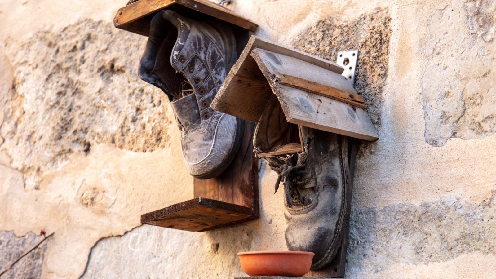 DIY Bird Houses: Turn Everyday Items into Cozy Nesting Spaces