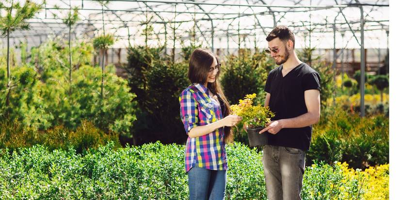A Tree for Two: Planting Love That Lasts Forever