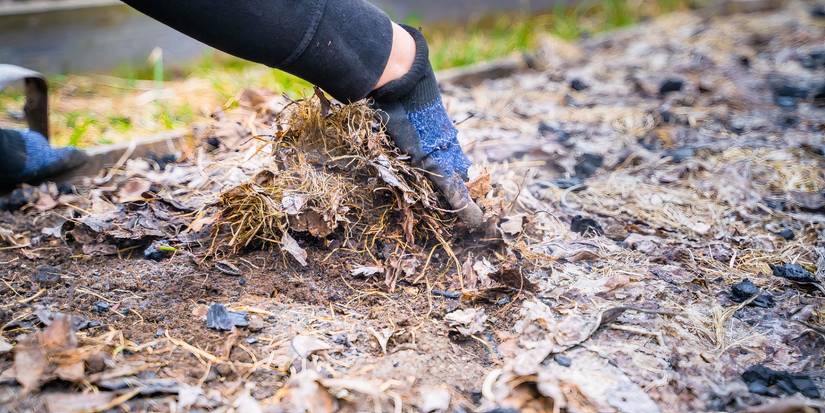 6 Easy Steps to Bring Your Winter-Damaged Lawn Back to Life