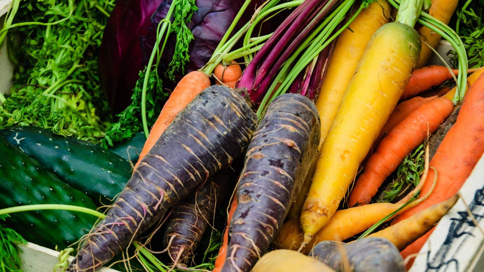Create a Vibrant Rainbow Garden with Edible Vegetables