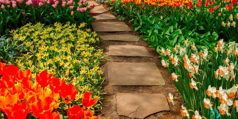 Landscaping Ideas: Use a Dirt Pathway for Rustic Appeal