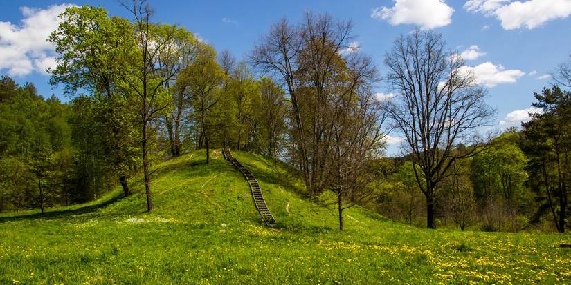 Garden Ideas: Use a Mound Garden to Showcase Your Plants or Flowers