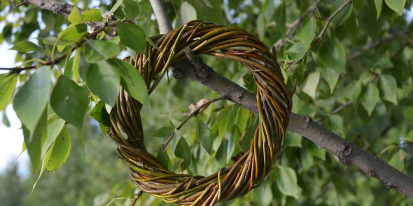 Attract Birds and Elevate Your Garden with Stylish Bird Swing Ideas