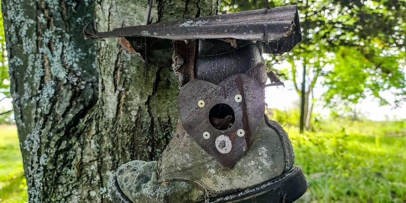 DIY Bird Houses: Turn Everyday Items into Cozy Nesting Spaces
