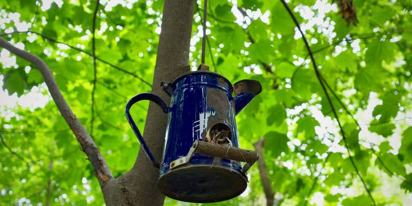 DIY Bird Houses: Turn Everyday Items into Cozy Nesting Spaces