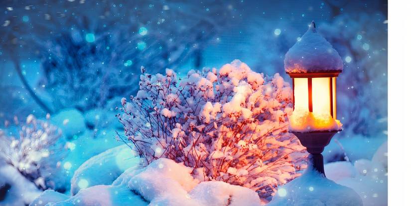 Late Winter Landscape Ideas: How to Add Interest and Beauty