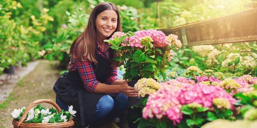Design a Timeless Bouquet: Seasonal Flowers and Plants in New England