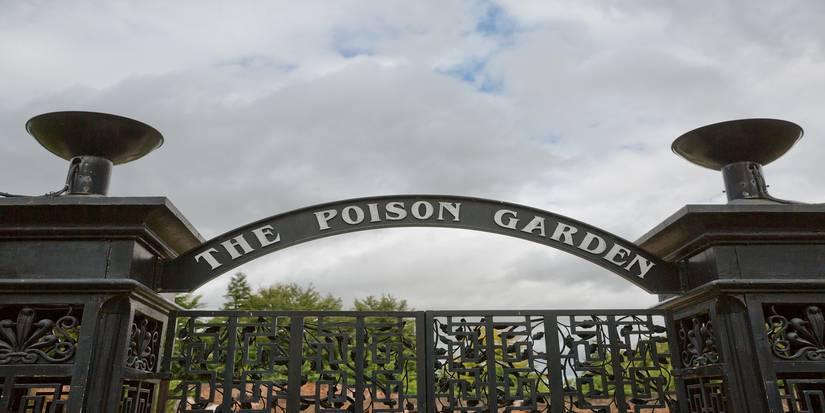 The World’s Most Unusual and Enchanting Gardens