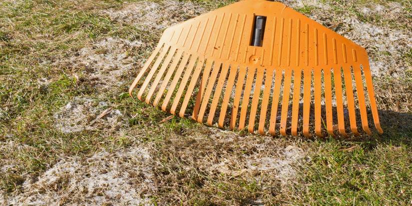 Get a Head Start on Spring! 6 Winter Lawn Care Must-Dos