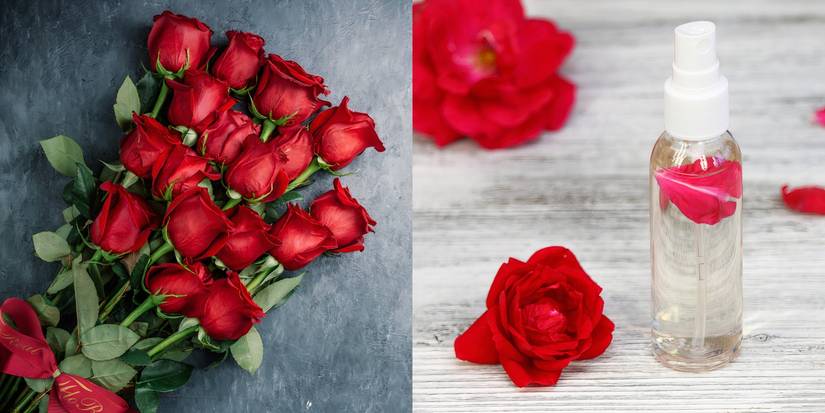 Valentine's Day Love Spells: 5 Plants With Deep Historical Uses