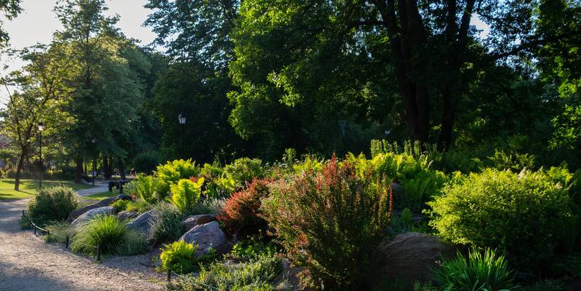 Garden Ideas: Use a Mound Garden to Showcase Your Plants or Flowers