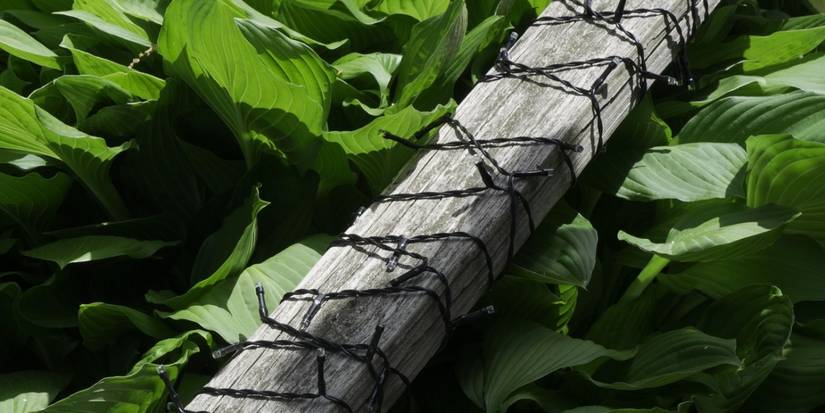 Transform Outdoor Stairs with Solar, LED and Motion-Activated Lighting